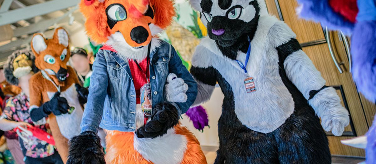 New Zealand Furry News | furry.nz