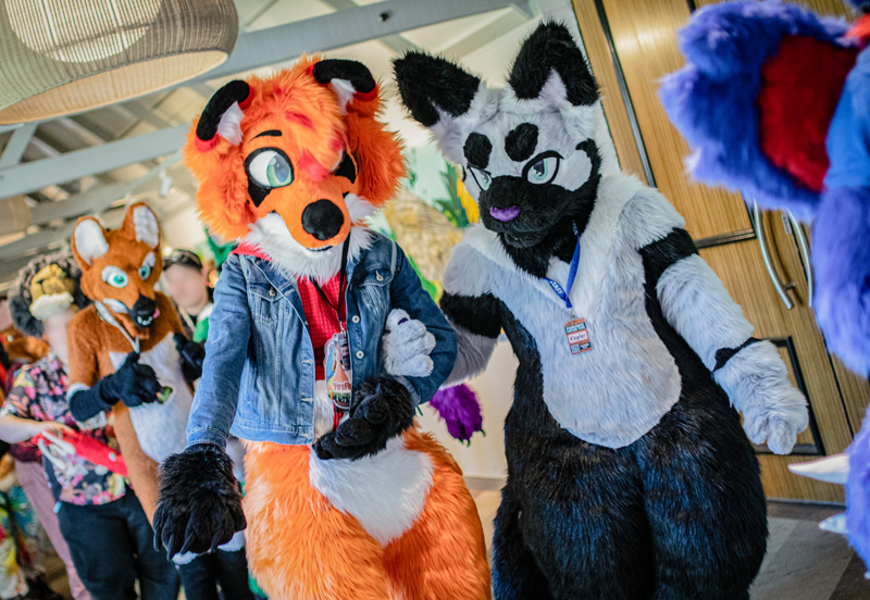 FurcoNZ Hotel 2024: Convention Report! | furry.nz